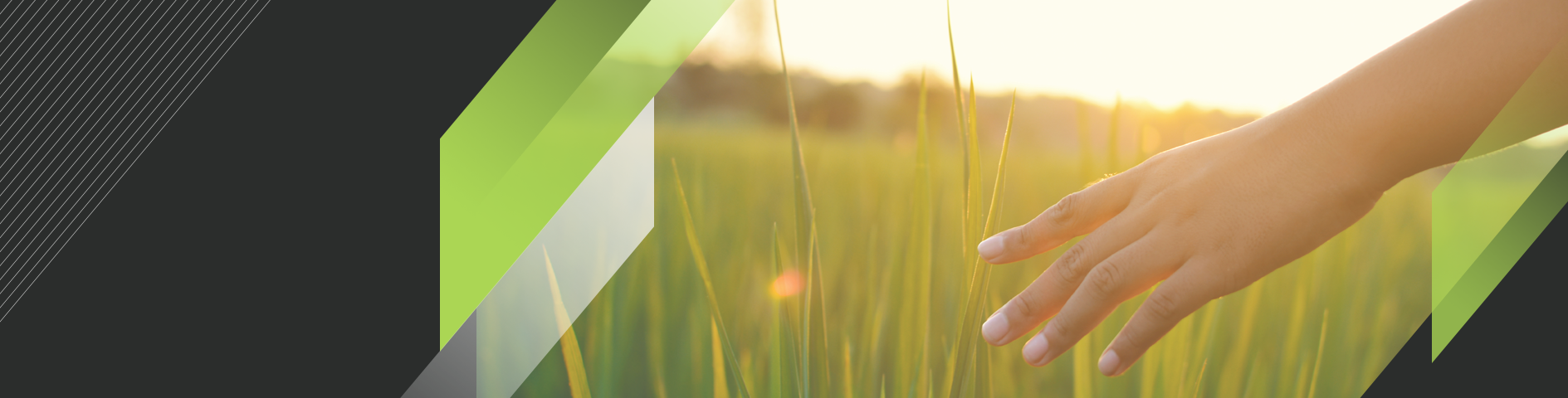 DWS asset management | Investors for a new now