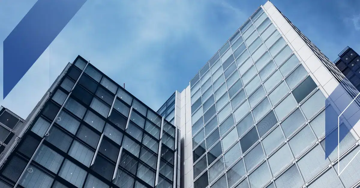 Real Estate View Newsletter - November | DWS