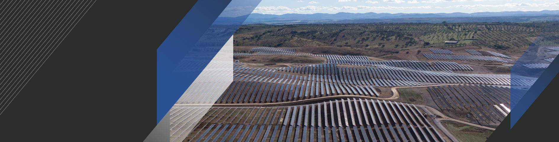 DWS asset management | Investors for a new now