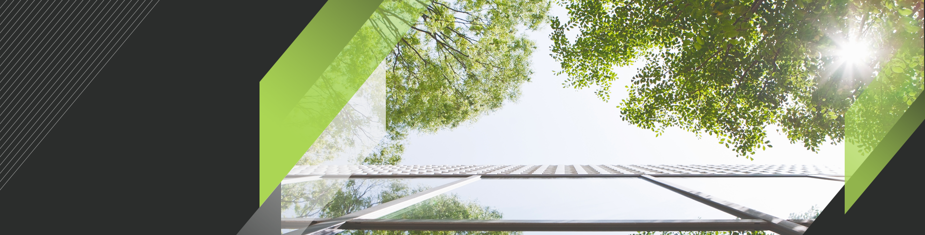 DWS Asset Management | Investors for a new now