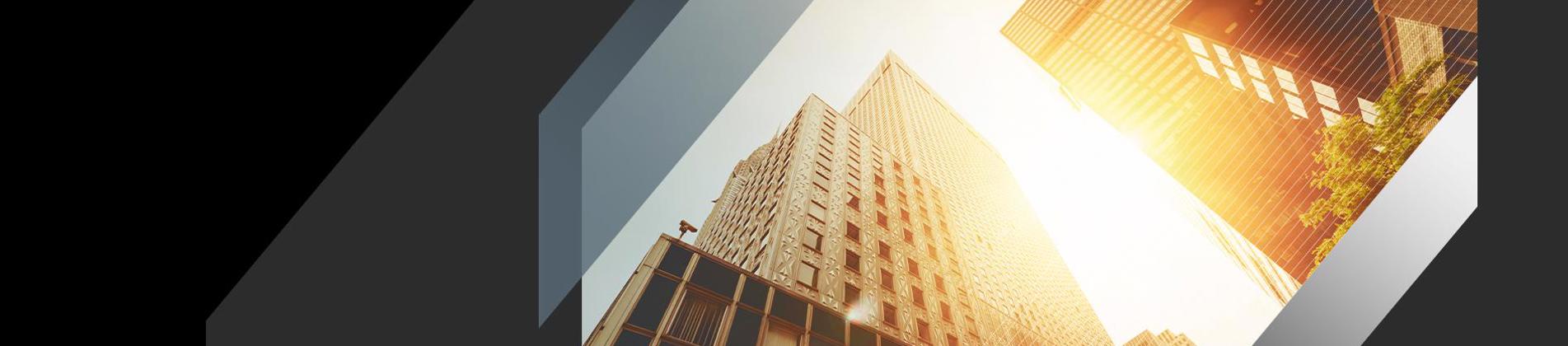 Insurance Asset Management | DWS