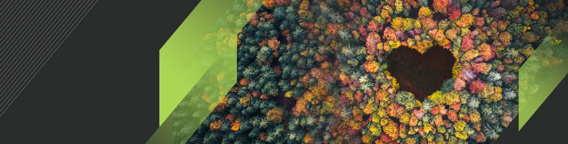 DWS Asset Management