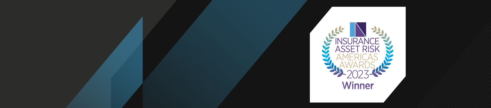 Insurance Asset Management | DWS