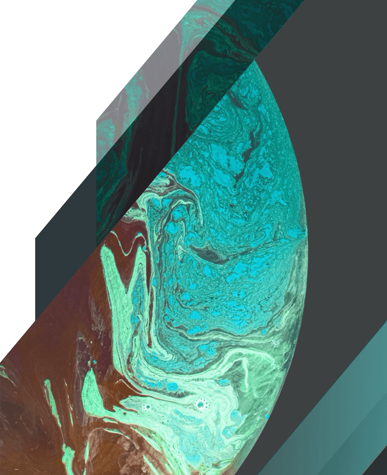 DWS Government & Agency Securities Portfolio - DWS Government & Agency ...